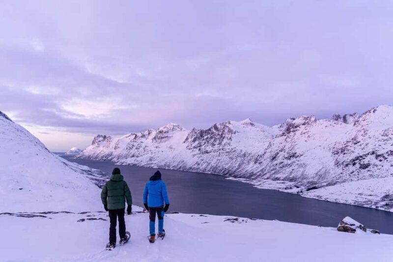 From Tromsø: Snowshoe Hike with Local Guides - Weather, Clothing, and Practicalities