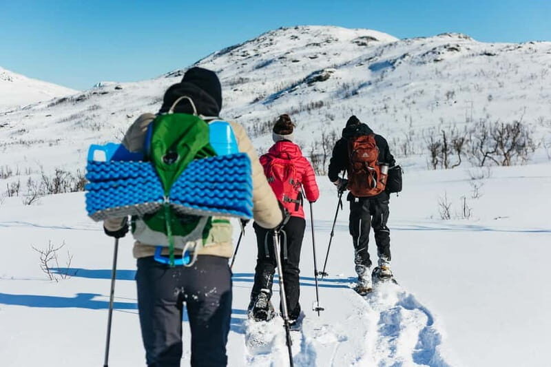 From Tromsø: Snowshoeing Hike with Picnic Lunch and Photos - The Sum Up