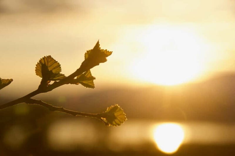 From Tromsø: Sommarøy Midnight Sun Sea Kayaking Tour - Practicalities and Tips