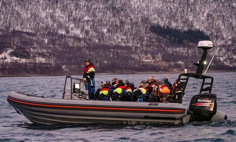 From Tromso: Whale Watching in Magic Skjervoy - The Cost and What You’re Getting