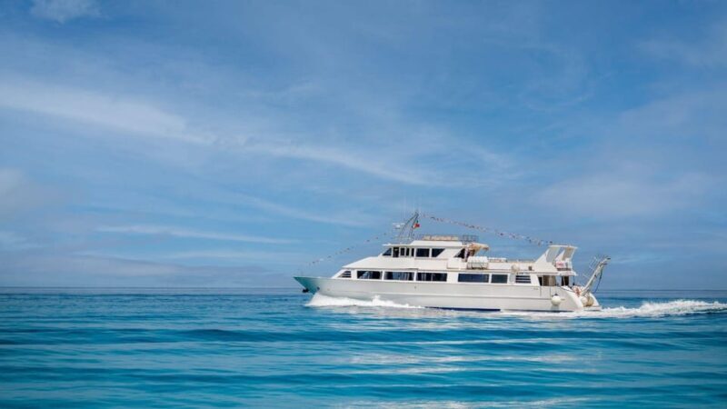 From Tropea: Lipari Panarea Stromboli Night Cruise - Key Points