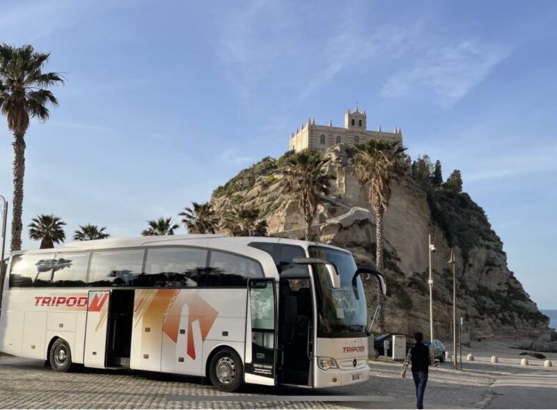 From Tropea: Reggio and Scilla Daily Tour - A Deep Dive Into the Reggio Calabria and Scilla Tour