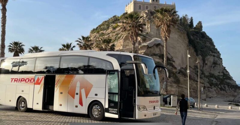 From Tropea: Reggio and Scilla Daily Tour - Who Should Consider This Tour?