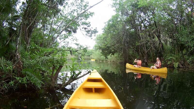 From Tulum: Four-Cenote Adventure - The Verdict: Is It Worth It?