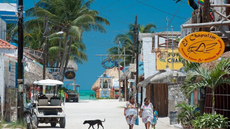 From Tulum: Holbox Island Full-Day Trip with Lunch - Introduction to the Tour: What to Expect