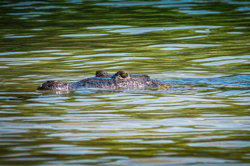 From Tulum: Sian Kaan Boat Trip Adventure with Lunch - Who Would Love This Tour?