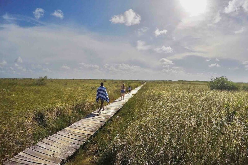 From Tulum: Sian KaAn Muyil Lagoon Tour - Key Points