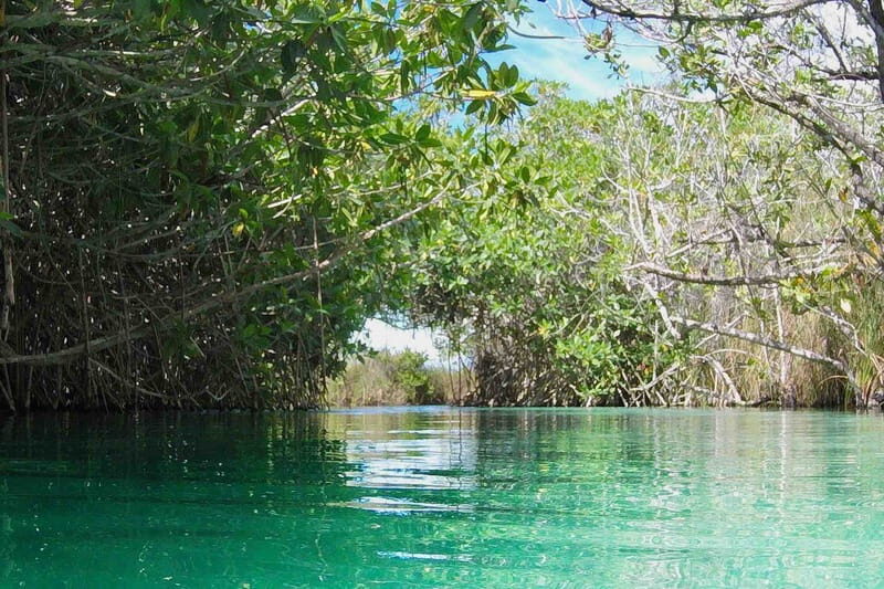 From Tulum: Sian KaAn Muyil Lagoon Tour - Why Choose This Tour?