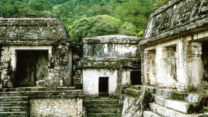 From Tuxtla Gutierrez: Palenque & Chiapas 4-Day Tour - FAQ