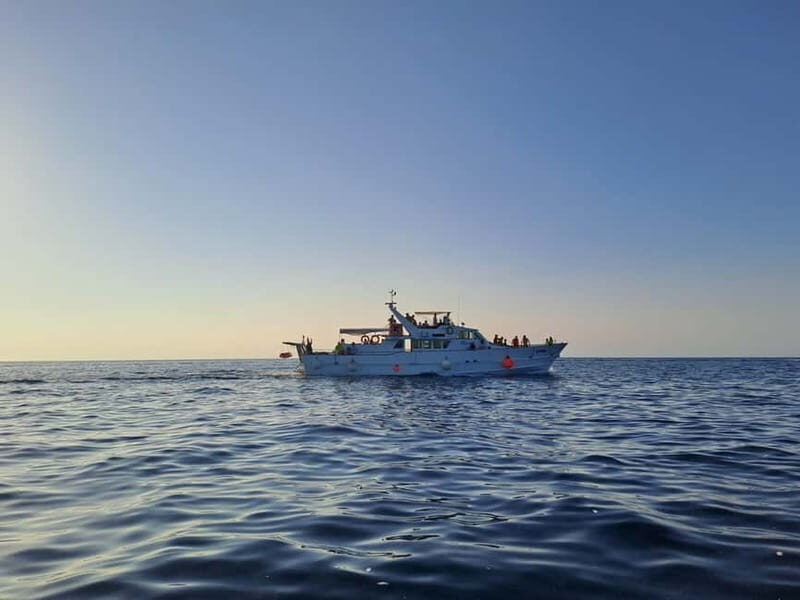 From Umag: Fish Picnic to Pore with Lunch and Swimming - What Makes This Tour Stand Out