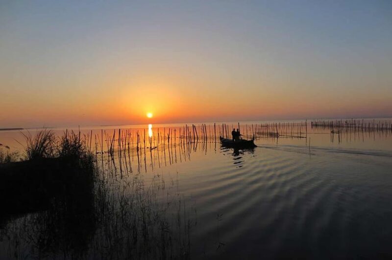 From Valencia: Albufera Boat Ride, Sunset & Paella Included - An In-Depth Look at the Albufera Tour