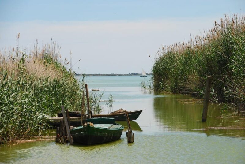 From Valencia: Albufera Boat Ride, Sunset & Paella Included - Who Is This Tour Perfect For?