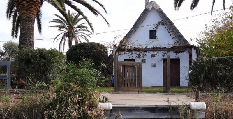 From Valencia: Albufera Boat Ride, Sunset & Paella Included - The Sum Up