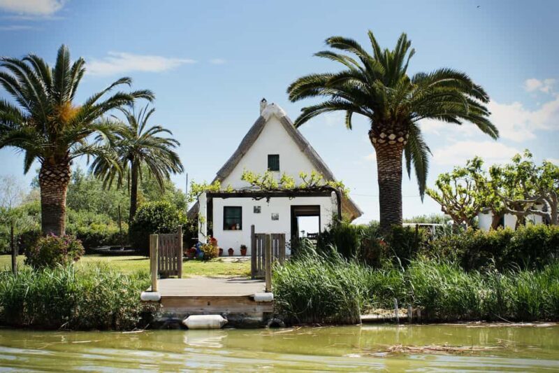 From Valencia: Albufera Natural Park with Sunset Boat Tour - Insights from Reviewers