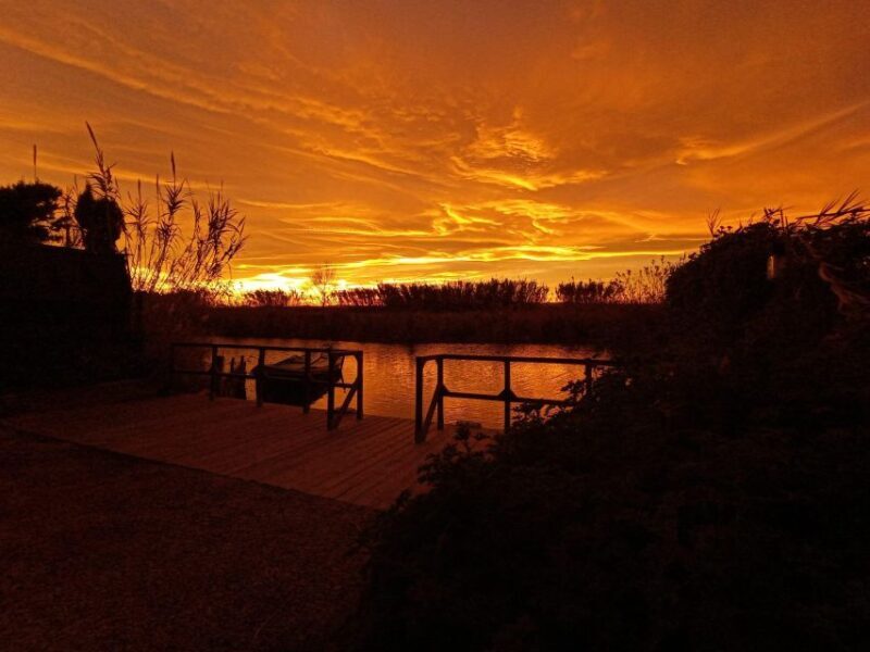 From Valencia: Albufera Natural Park with Sunset Boat Tour - Who will love this tour?