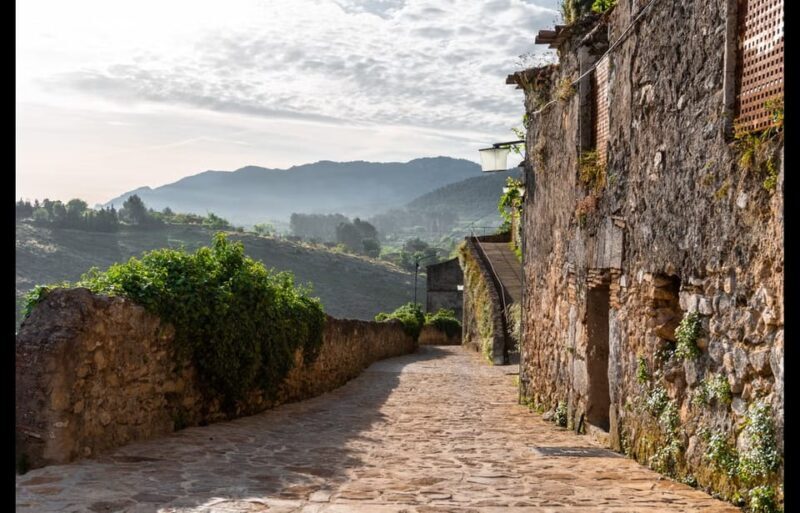 From Valencia: Discover the Medieval Splendour of Bocairent - Transportation and Group Size
