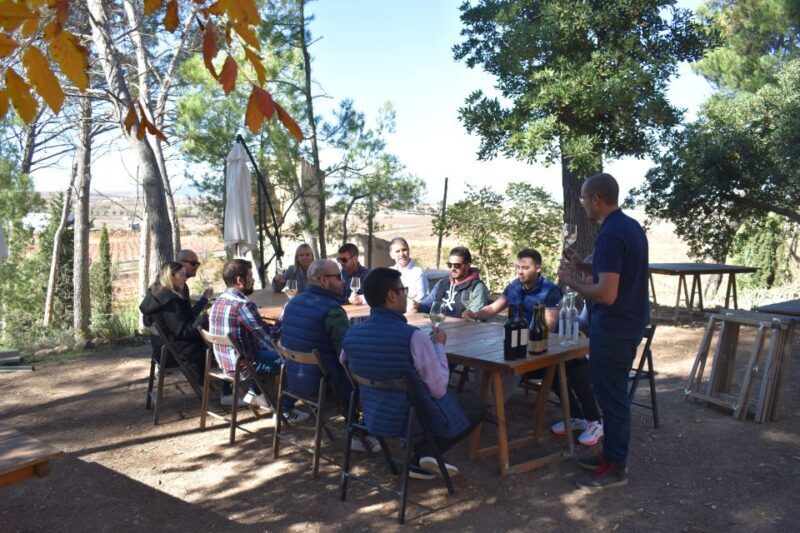 From Valencia: Guided Cheese Factory Tour with Wine Tasting - A Stroll Through Vineyards at Vera de Estenas Winery