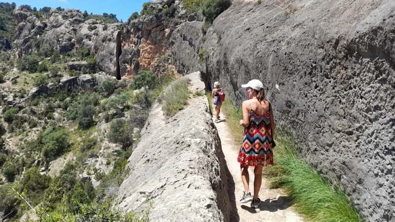 From Valencia: Peña Cortada Private Hiking Day Tour - Key Points