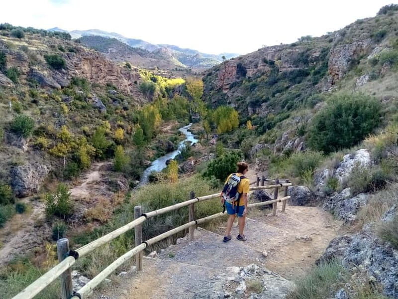 From Valencia: Peña Cortada Private Hiking Day Tour - An In-Depth Look at the Peña Cortada Private Hiking Tour