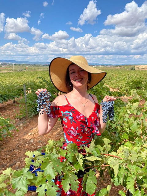 From Valencia: Utiel-Requena Wine Tour and Traditional Lunch - Key Points