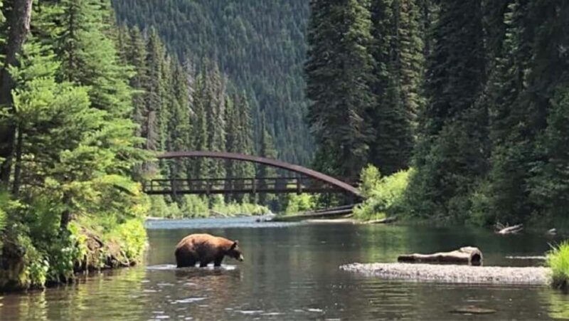 From Vancouver: 3-Day Tour to Manning Park, Nelson & Osoyoos - Key Points