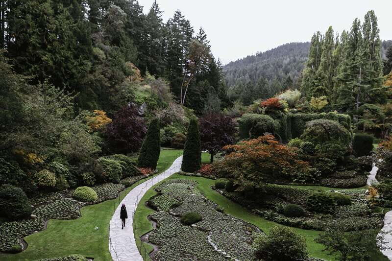 From Vancouver: Victoria, BC Ferry, Butchart Gardens Tour - Authentic Feedback: What Past Travelers Say