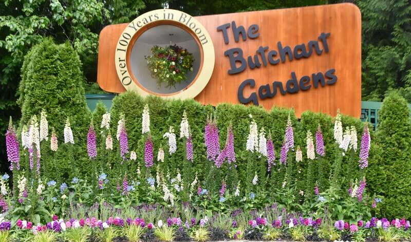 From Vancouver: Victoria City and Butchart Gardens Tour - The Itinerary: From Vancouver to Victorias Best
