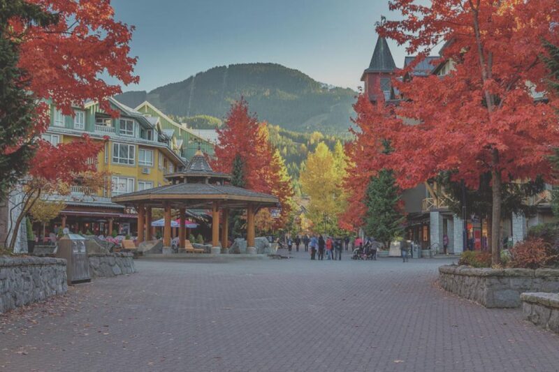 From Vancouver: Whistler and Shannon Falls Private Day Trip - What’s Included and What’s Not