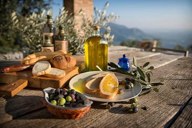 From Venice: Olive Oil & Wine Tour in the Venetian Hills - Introduction