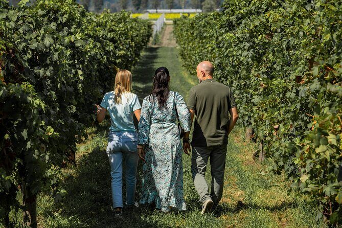 From Venice: Olive Oil & Wine Tour in the Venetian Hills - Authenticity and Review Insights