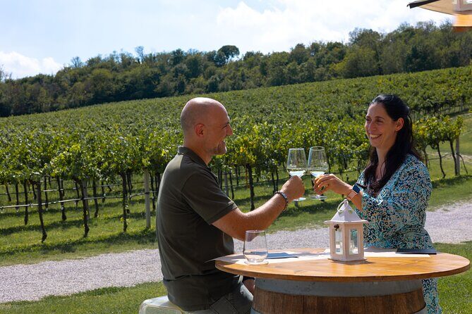 From Venice: Olive Oil & Wine Tour in the Venetian Hills - The Sum Up