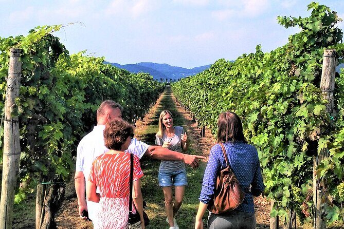 From Venice: Wine Tour in the Euganean Hills - Price Analysis and Value
