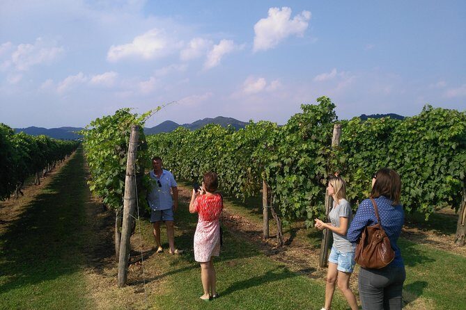 From Venice: Wine Tour in the Euganean Hills - Who Will Love This Tour?