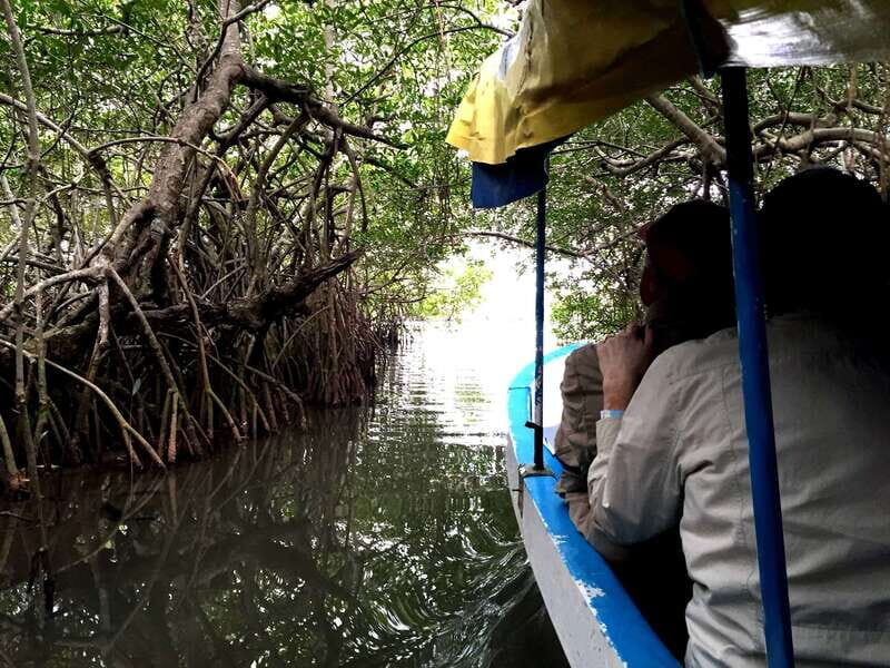 From Veracruz: Nature & Seafood Boat Tour to Madinga - Who Will Love This Tour?