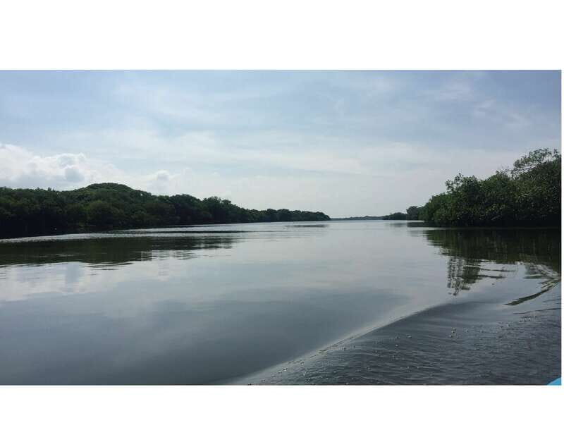 From Veracruz: Nature & Seafood Boat Tour to Madinga - Final Thoughts