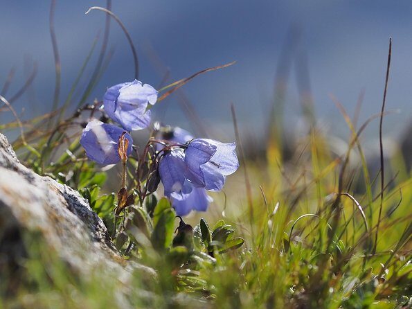 From Verona: Full-day Dolomites Mountains trip - Final Thoughts