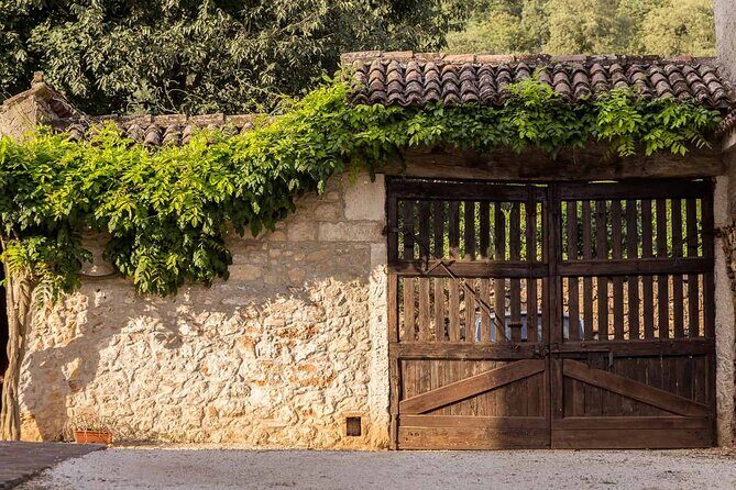 From Verona: Prosecco & Classic method sparkling wine tour, with light lunch - FAQ