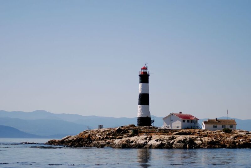 From Victoria: Whale Watching Marine Wildlife Excursion - Who Is This Tour Best For?