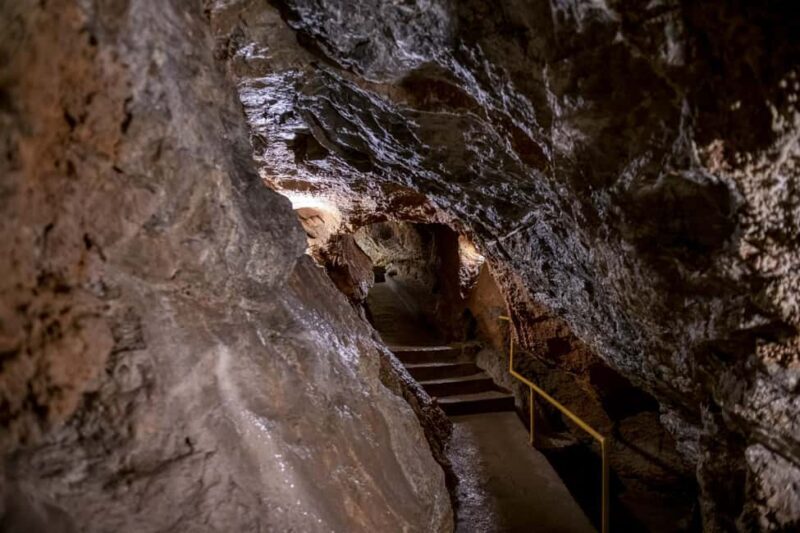 From Vienna: Bratislava & Countryside Guided Half Day Tour - Final Thoughts