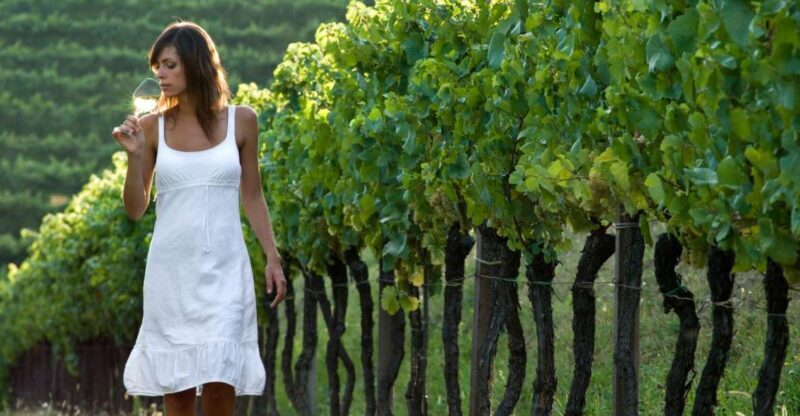 From Vienna: Half-day Countryside Wine Tour with Meal - The Experience in Detail