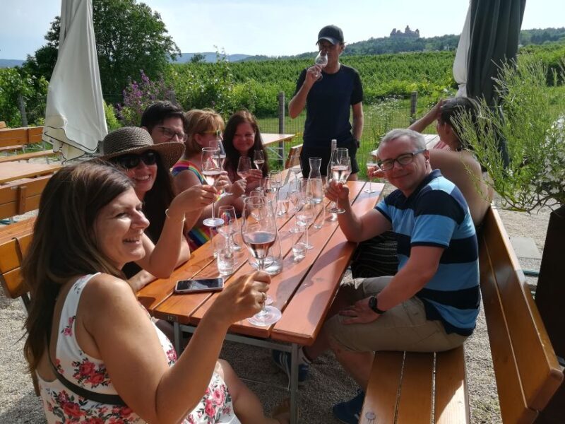 From Vienna: Half-day Countryside Wine Tour with Meal - Who Should Book This Tour