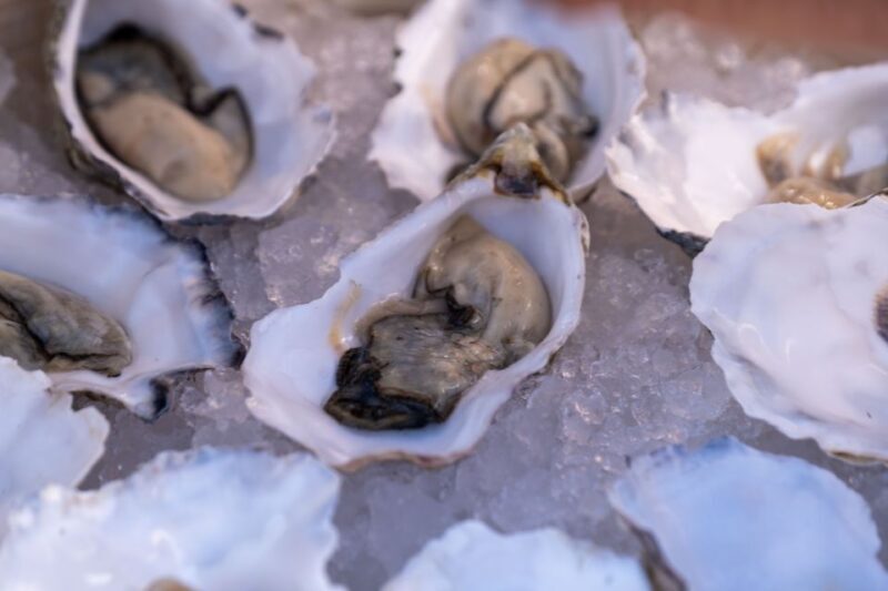 From Vilamoura: Sunset Catamaran Experience - Frequently Asked Questions