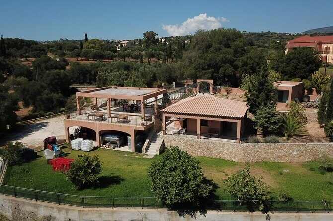 From Vine to Glass An Authentic Kefalonian Experience - An In-Depth Look at the Kefalonian Wine Experience