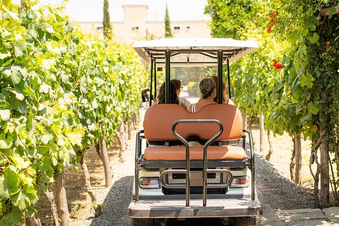 From Vineyard to Table: Wine Tasting & Neapolitan Lunch in Pompei - Key Points