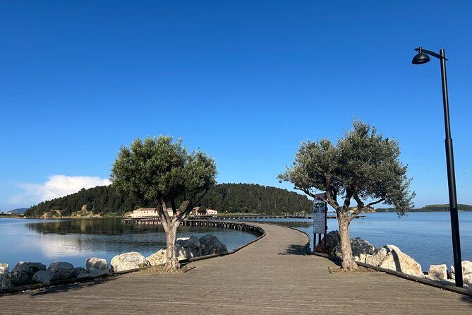 From Vlora : Zvernec, Apollonia and Berat Day Trip Experience - Introduction