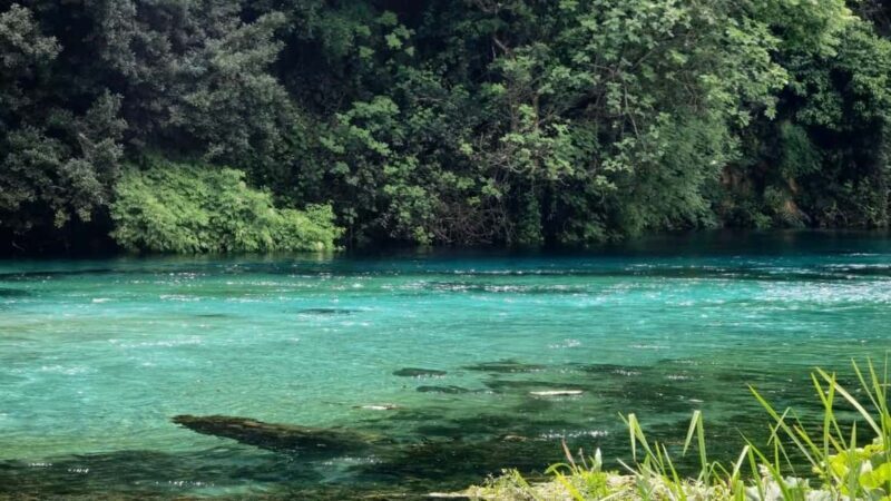 From Vlora:Tepelene Springs, Gjirokaster & Blue Eye Day Tour - Key Points