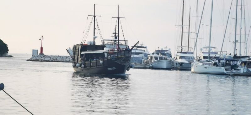 From Vrsar: Boat Trip to Rovinj and Lim Fjord - Final Thoughts: Who Is This Tour Perfect For?