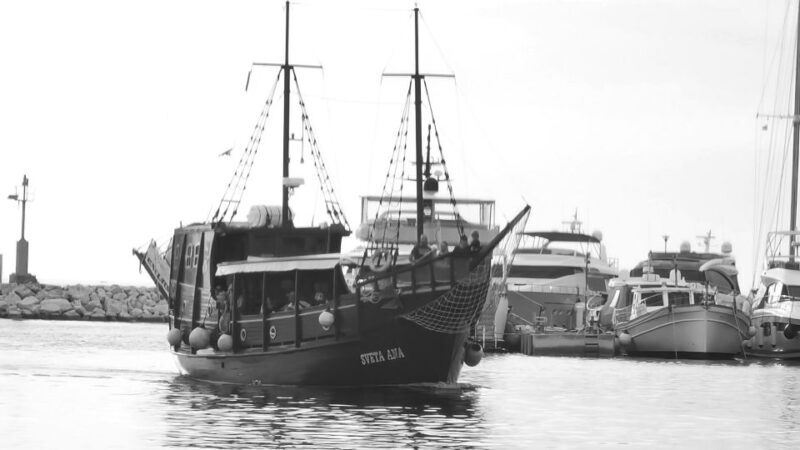 From Vrsar: Boat Trip to Rovinj and Lim Fjord - FAQs