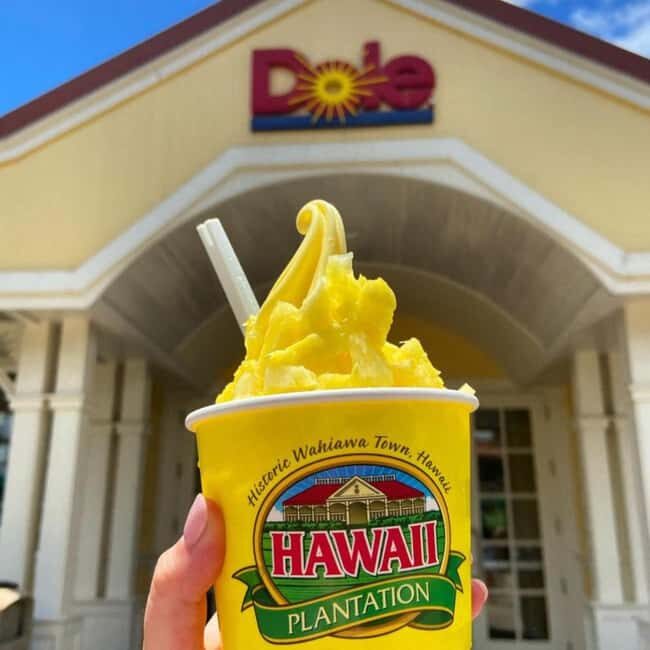 From Waikiki: Oahu Circle Island Tour - Exploring the Oahu Circle Island Tour in Detail