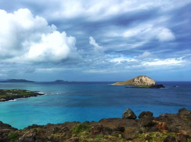 From Waikiki: Oahu Scenic Half-Day Circle Island Tour - The Itinerary: What You Can Expect